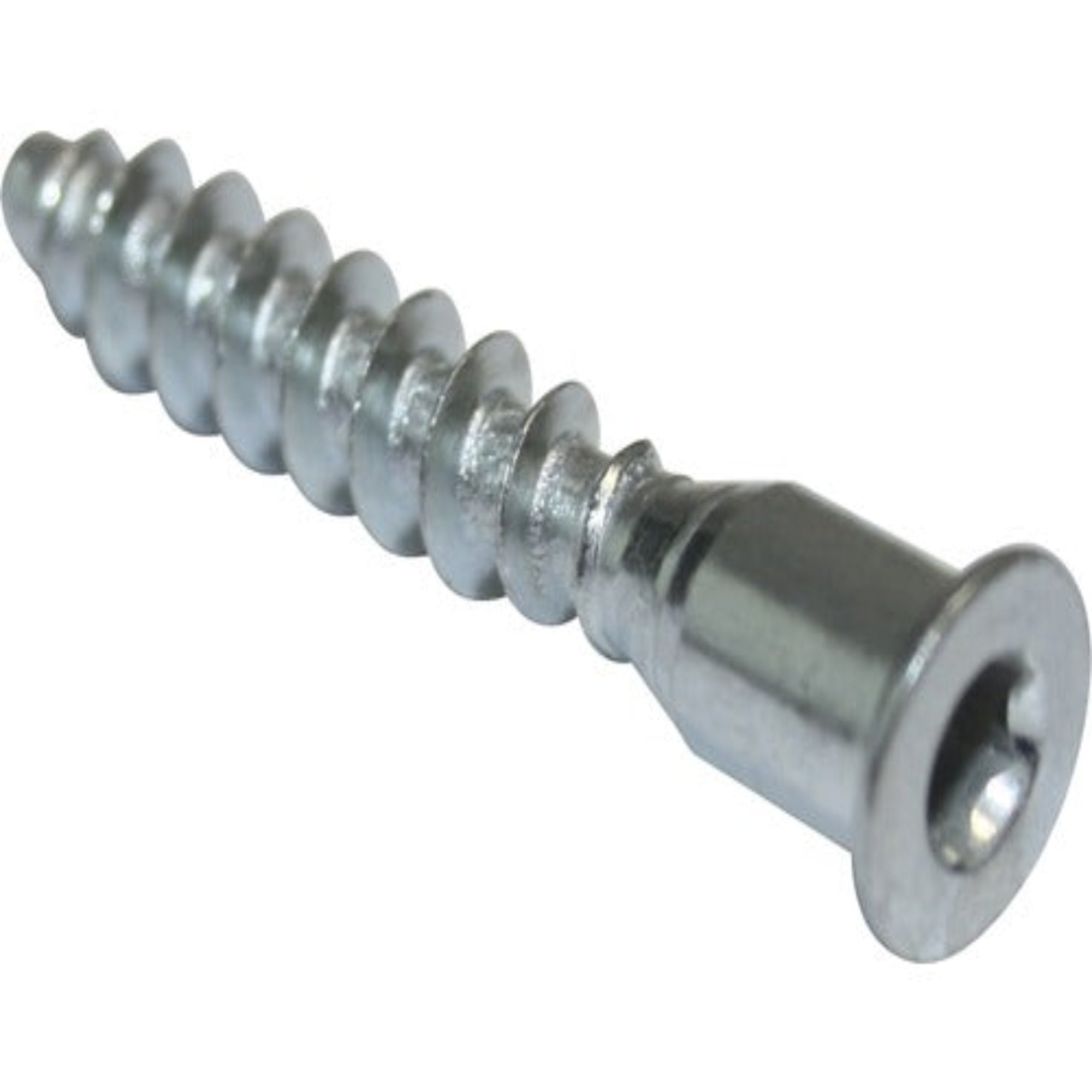 Clutch screw 5x40 mm - 50 pack – Terrariebyggarna AB